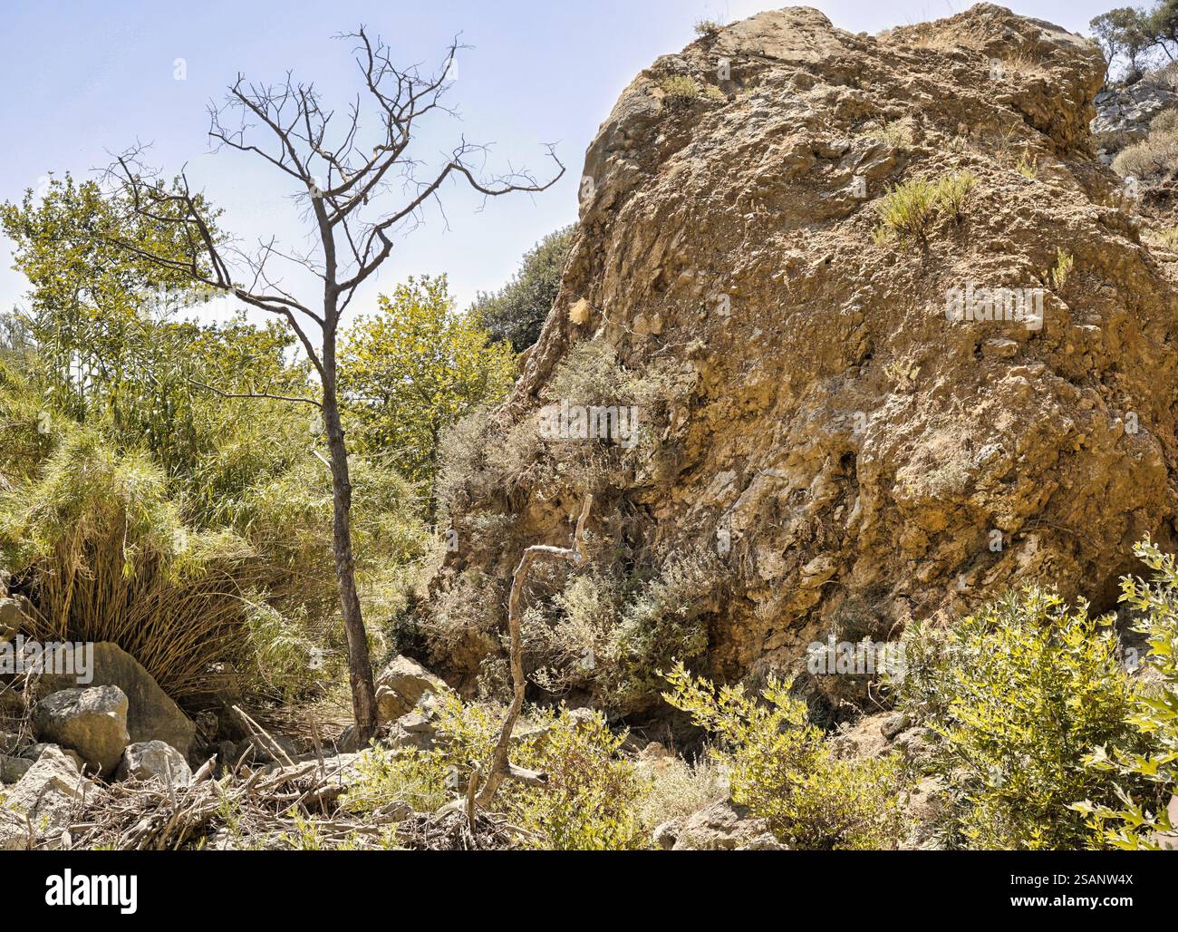 River flows through gorge hi-res stock photography and images - Alamy