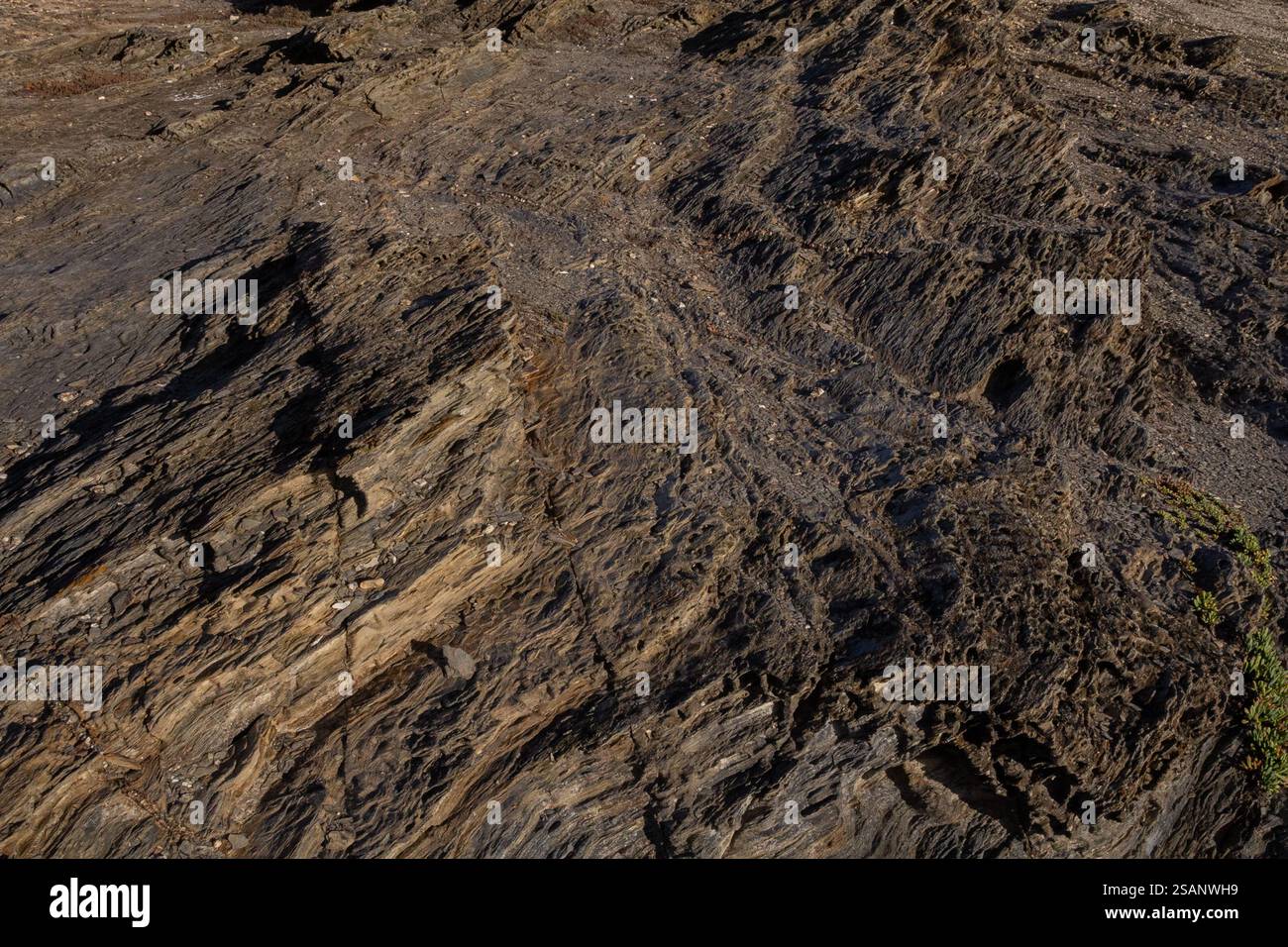A detailed close-up of a volcanic rock formation, showcasing its rugged ...