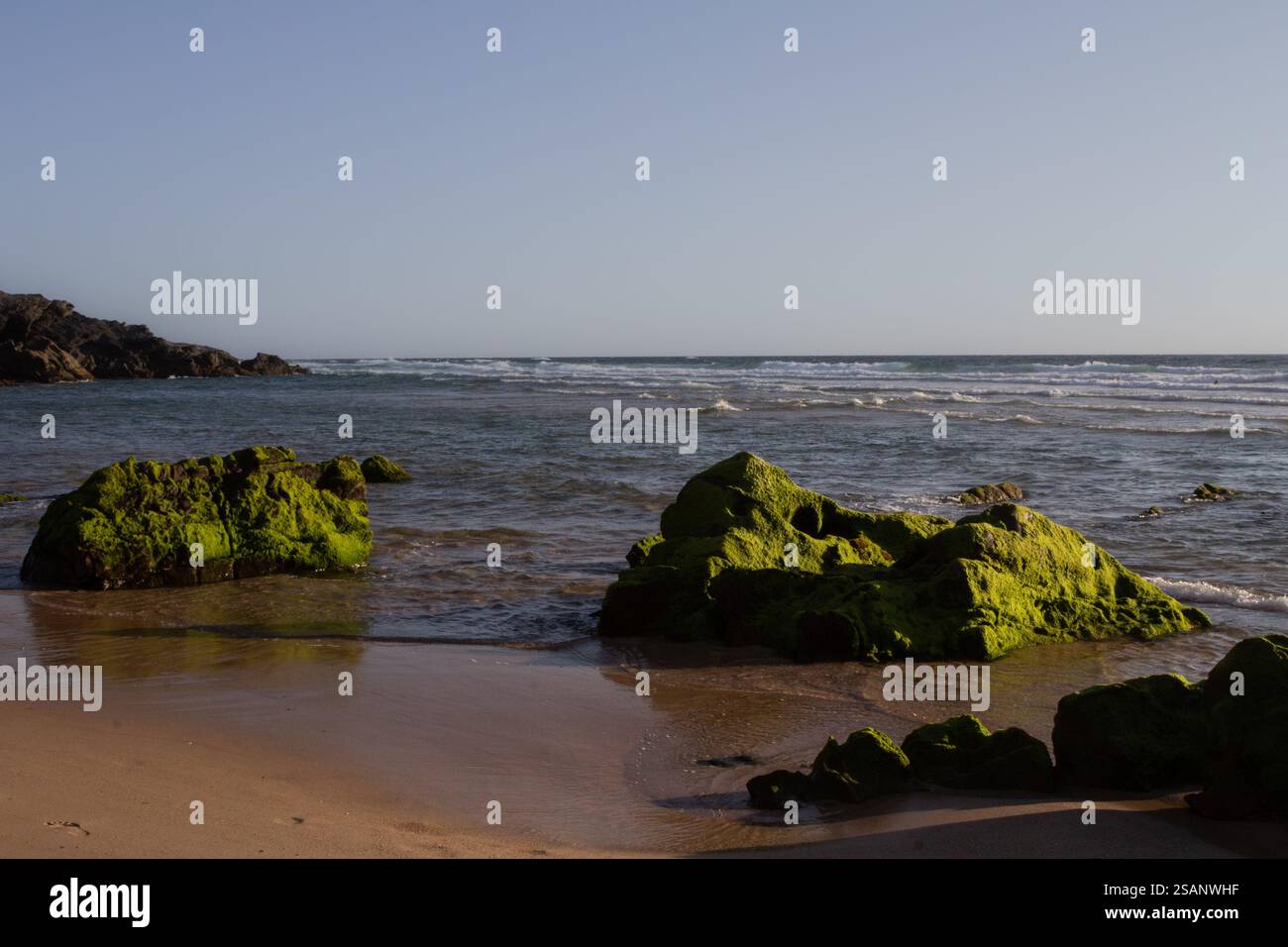 Green-tinted rocks on a beach, being gently covered by waves from the ...