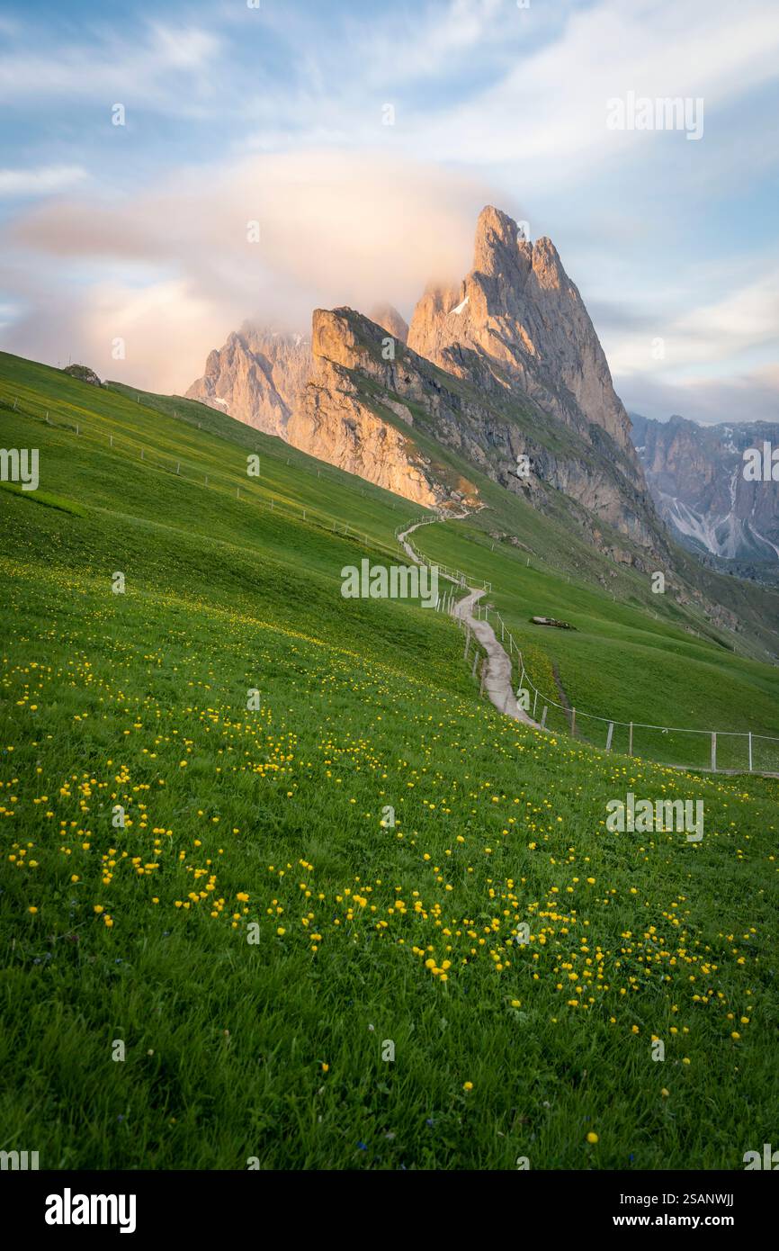 Golden hour sunset from Seceda, Dolomites Stock Photo - Alamy