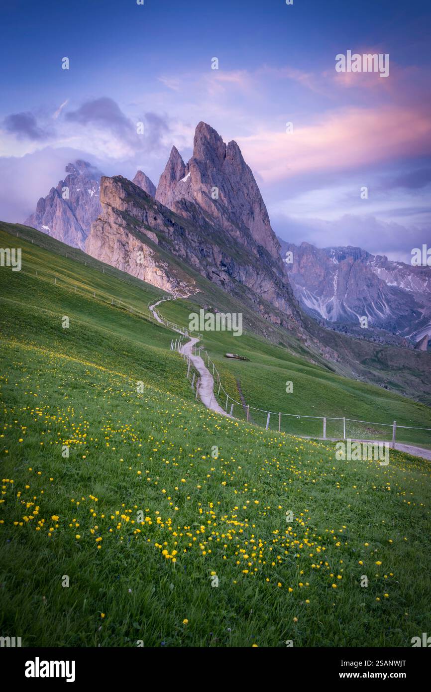 Seceda dolomites hi-res stock photography and images - Alamy