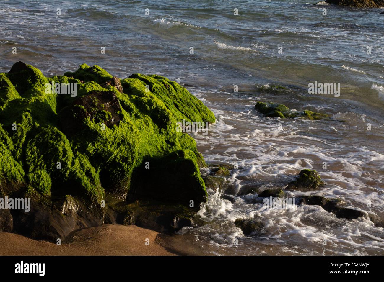 Green-tinted rocks on a beach, being gently covered by waves from the ...