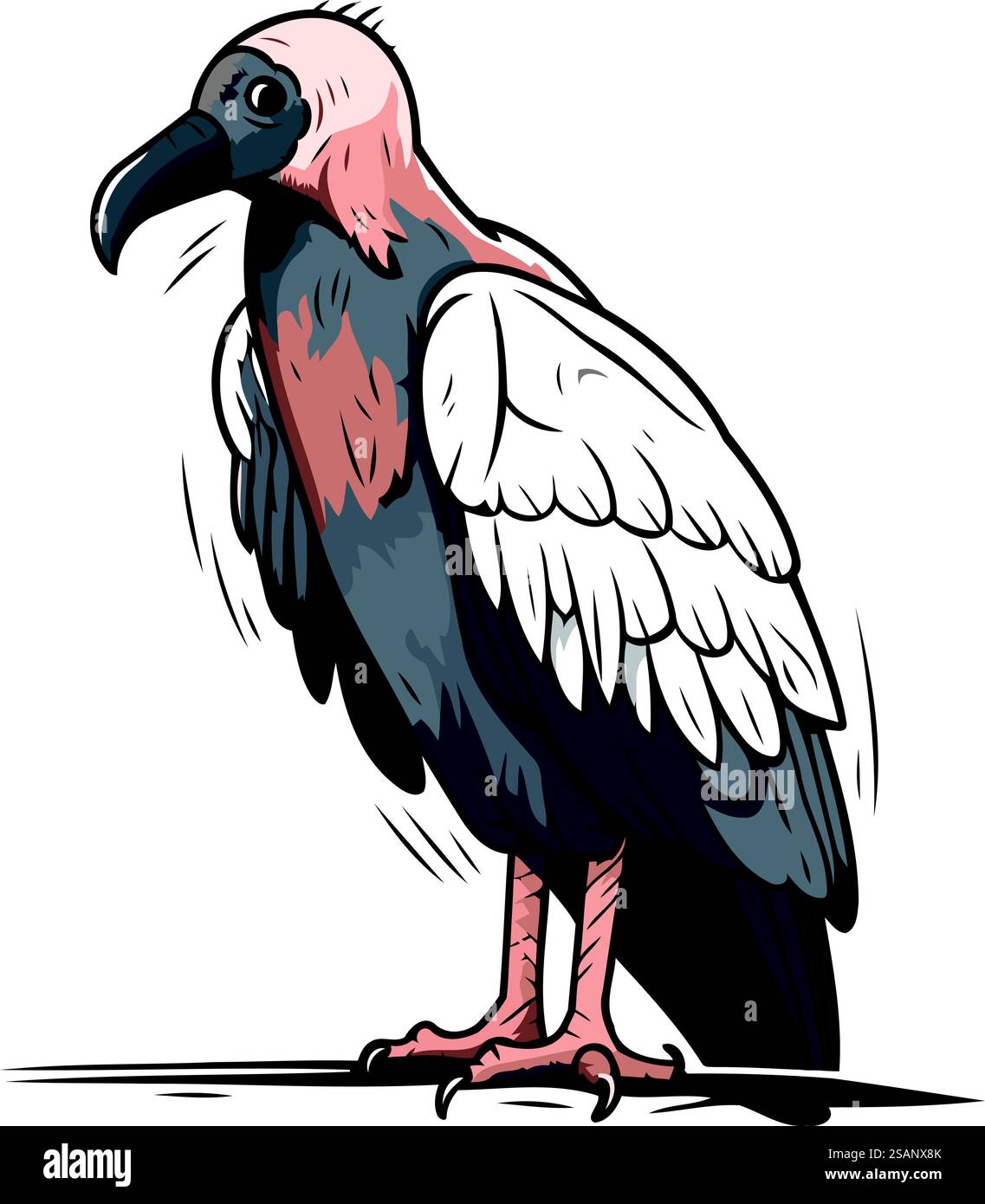 Vector illustration of a vulture on a white background. Side view Stock ...