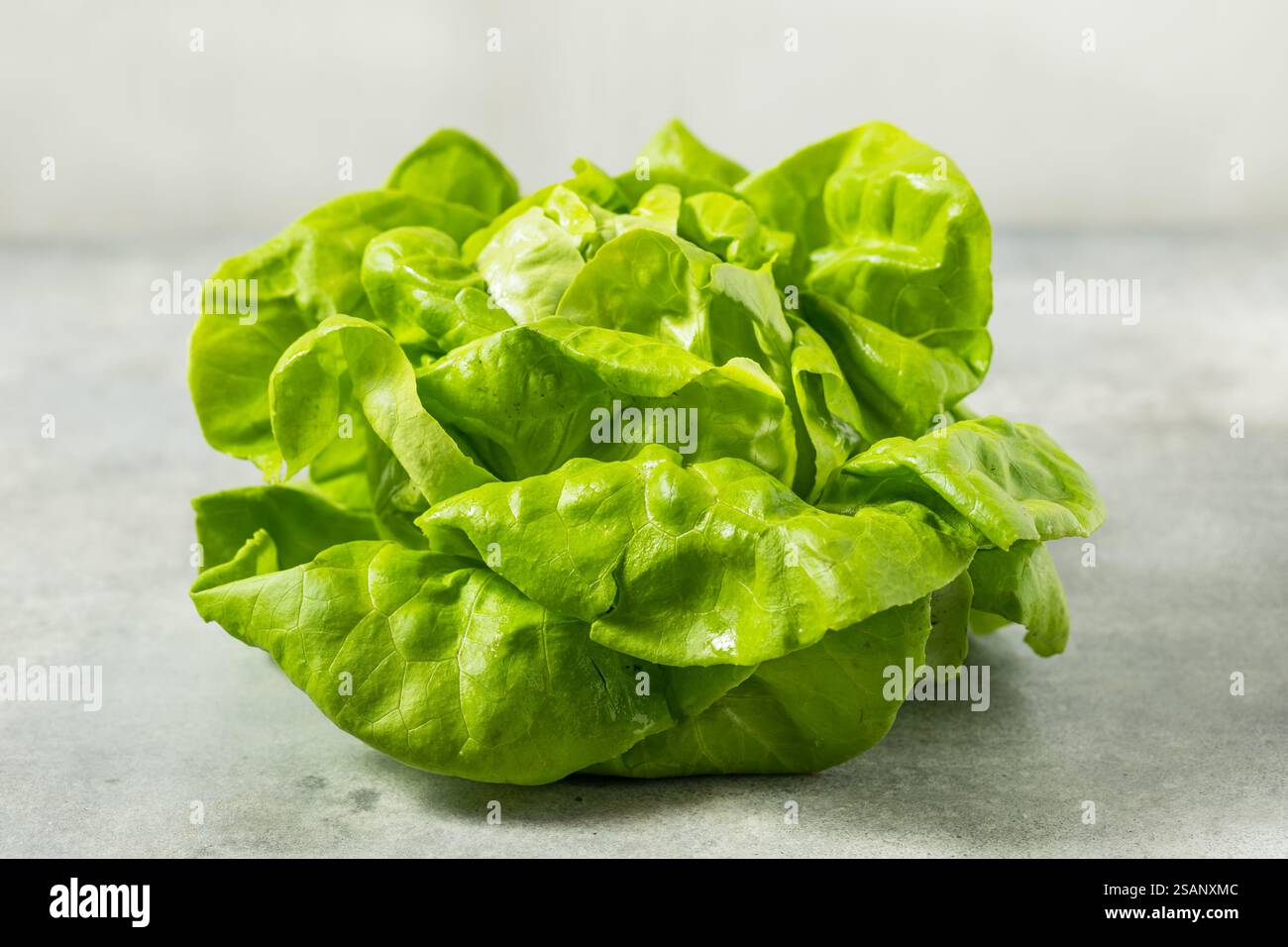 Organic Green Butterhead Lettuce Ready to Eat Stock Photo - Alamy