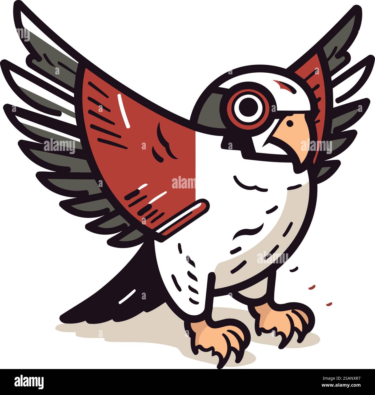 Bird With Bandage Broken Legs In Song Birds – Ron Hines' Vetspace