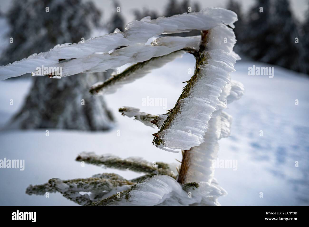 Frozen in time Stock Photo - Alamy