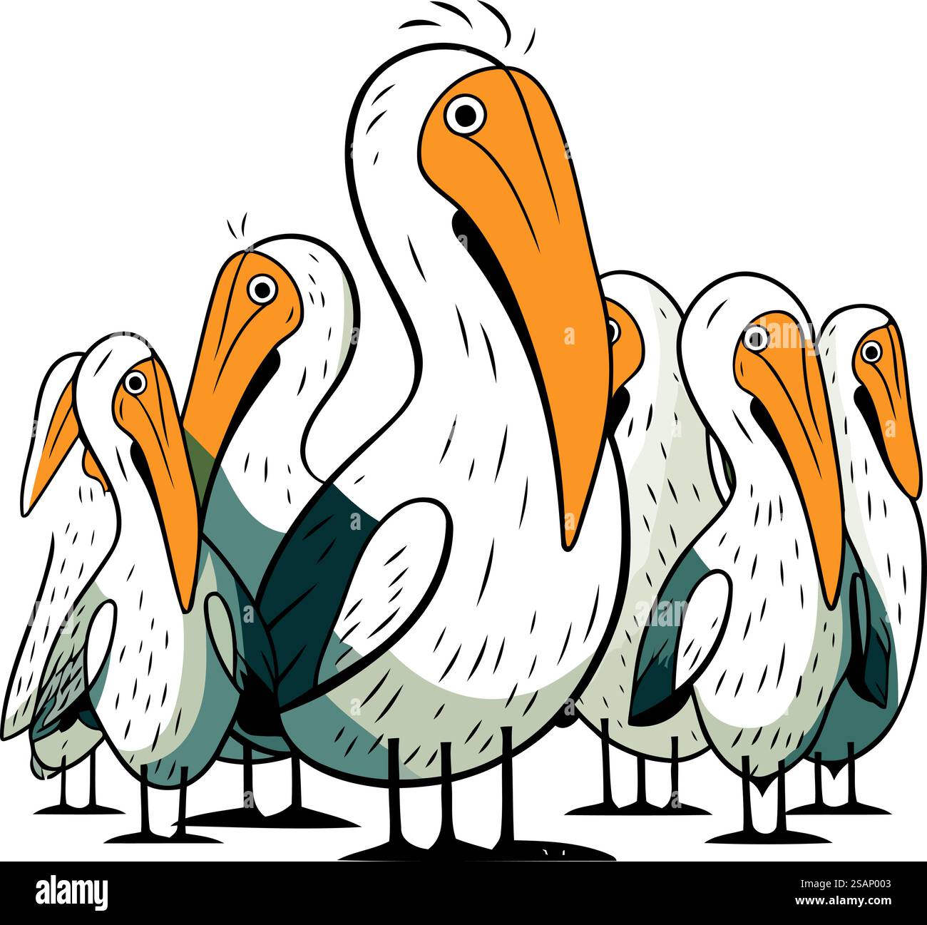 Pelicans. Cartoon vector illustration. Isolated on white background ...