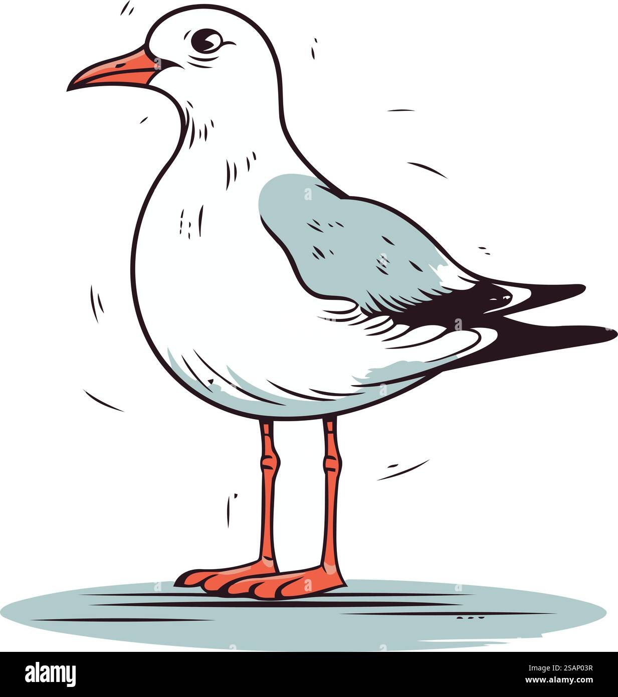 Seagull. Hand drawn vector illustration of a seagull Stock Vector Image ...