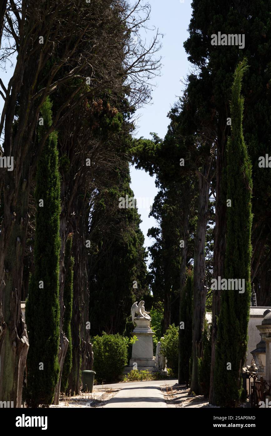 The majestic statue on the Jazigo de António Augusto de Aguiar grave ...