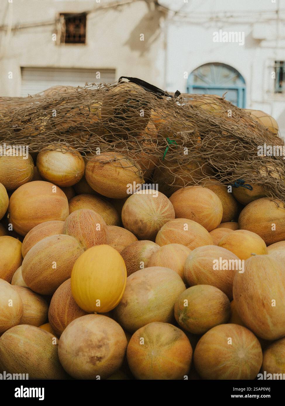Medina od tunis hi-res stock photography and images - Alamy