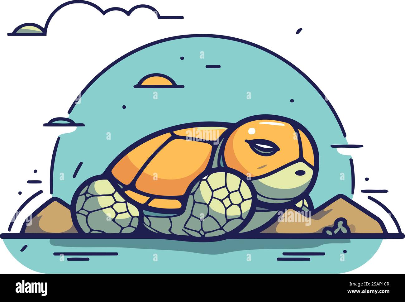 Tortoises shell Stock Vector Images - Alamy