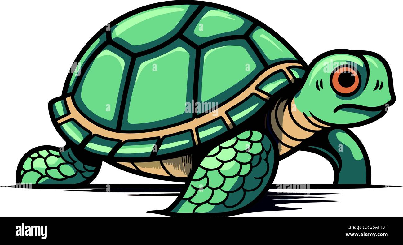 Cartoon turtle vector illustration isolated on white background. Cute ...