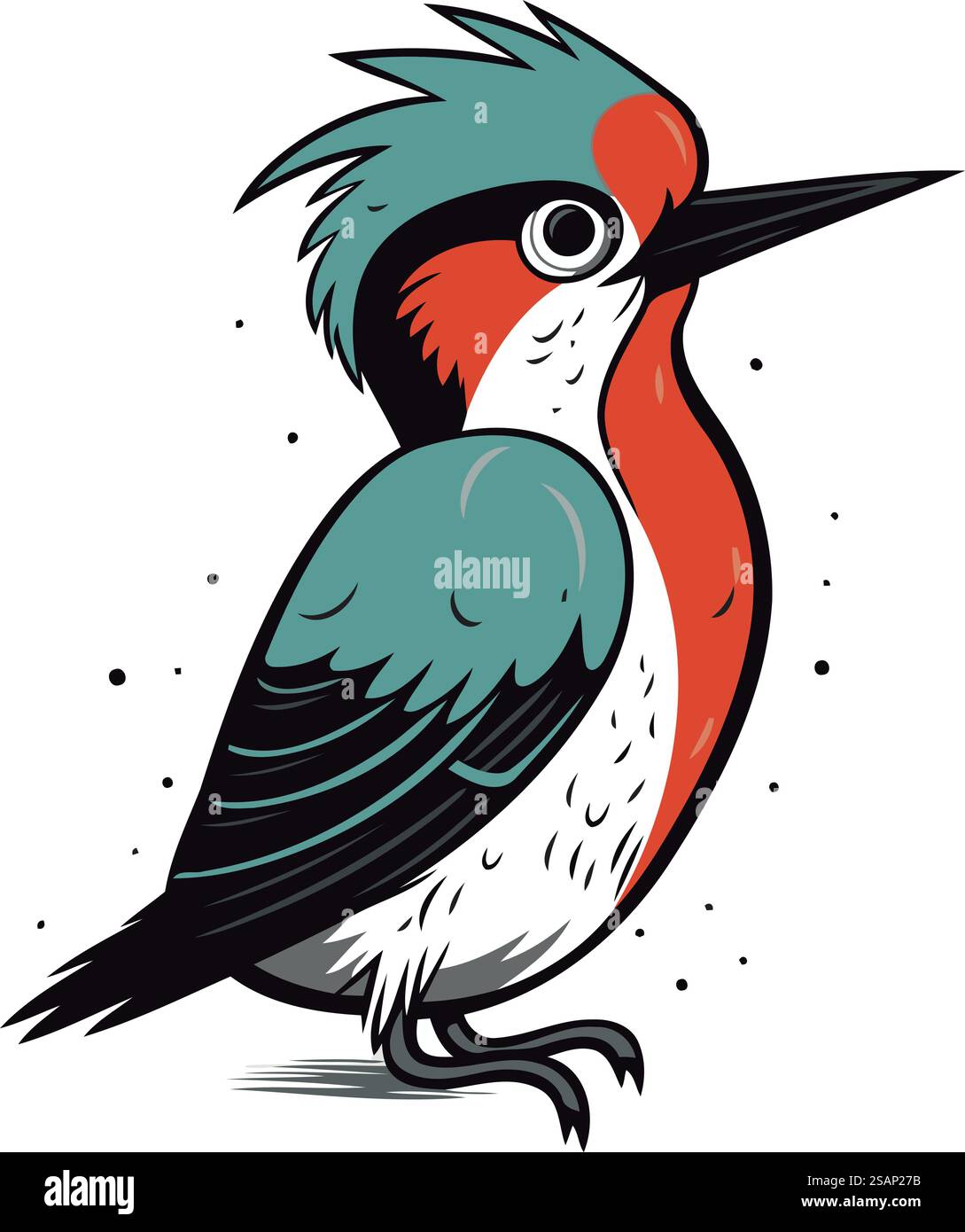 Red backed kingfisher. Vector illustration on white background Stock ...