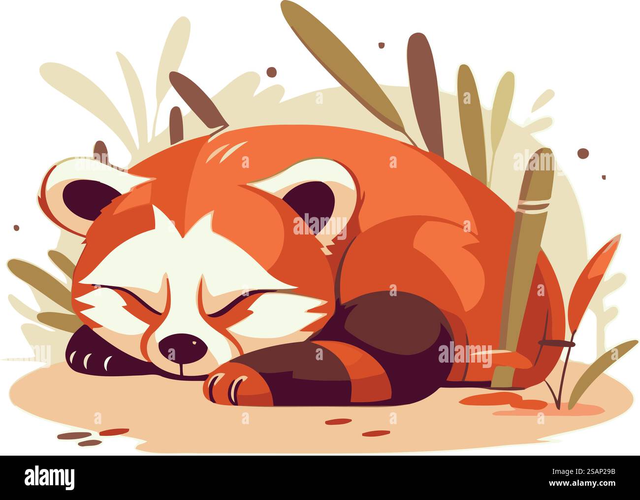 Red panda sleeping on ground hi-res stock photography and images - Alamy