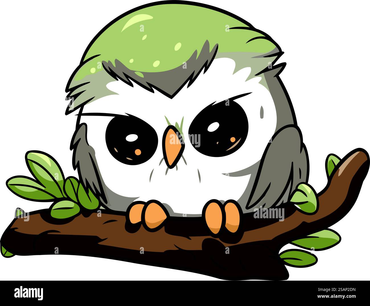 Owls In Tree Branch Clipart 20 Free Cliparts Download Page 20
