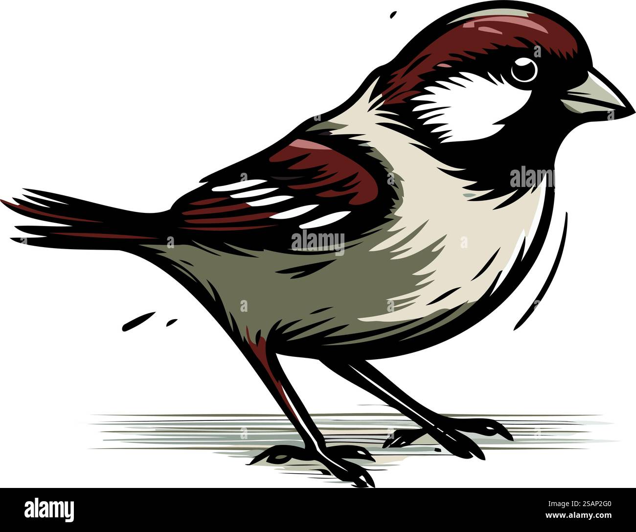 Sparrow. Hand drawn vector illustration. Isolated on white background ...