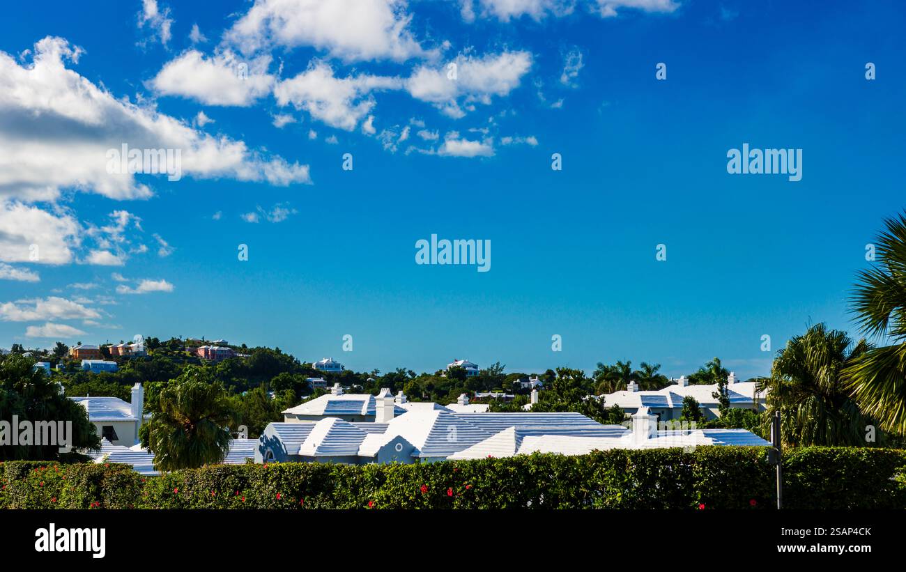 View of the downtown buildings from Hamilton, Bermuda Stock Photo - Alamy