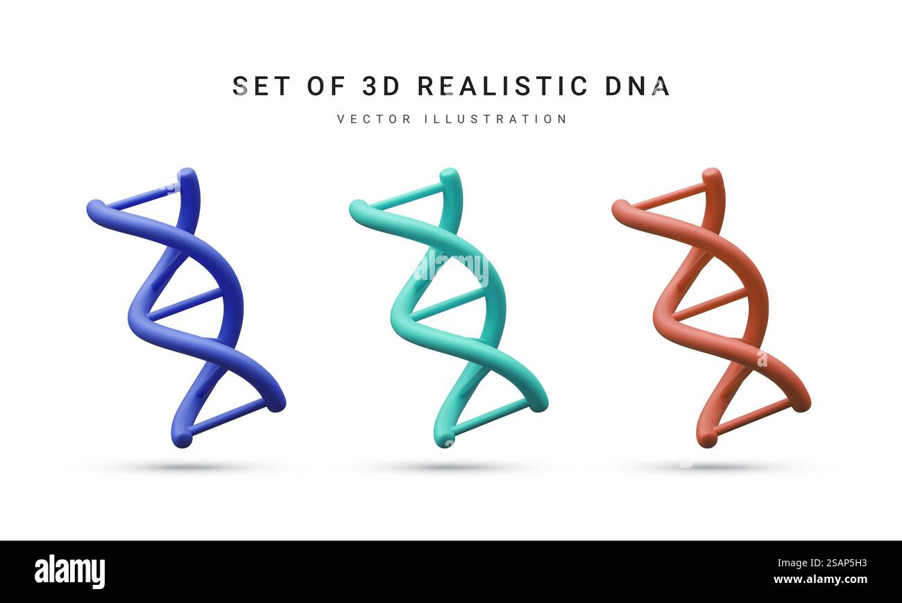 Set of 3d realistic medical spiral genetic dna for molecular chemistry ...