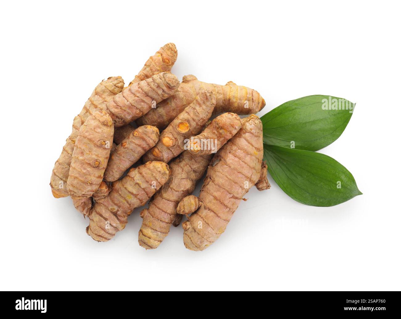 Raw turmeric roots and green leaves isolated on white, top view Stock ...