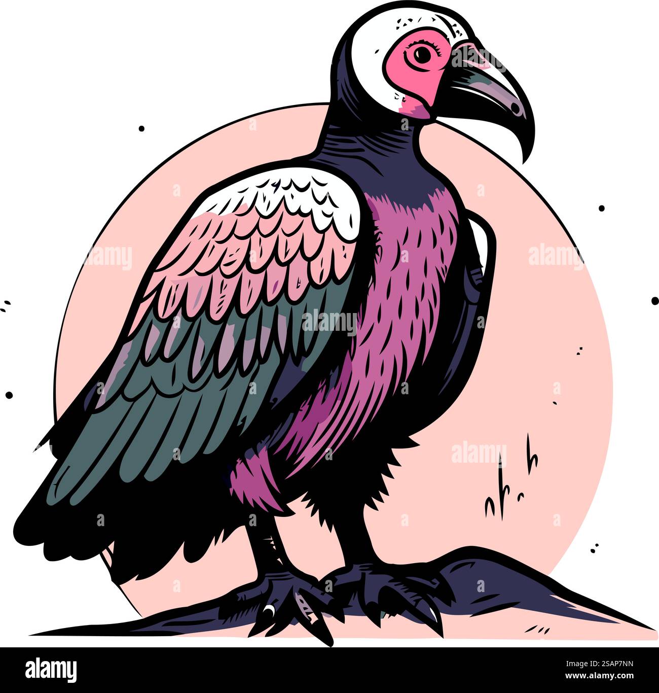 Vultures. Vector illustration of a vulture on a white background Stock ...