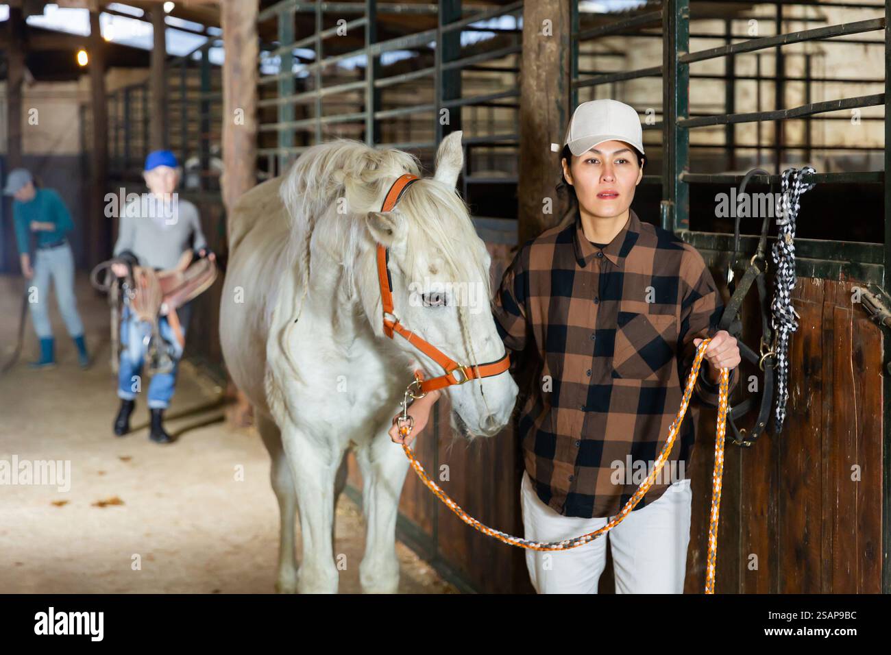 Asian female farmer leading white horse through stable Stock Photo - Alamy