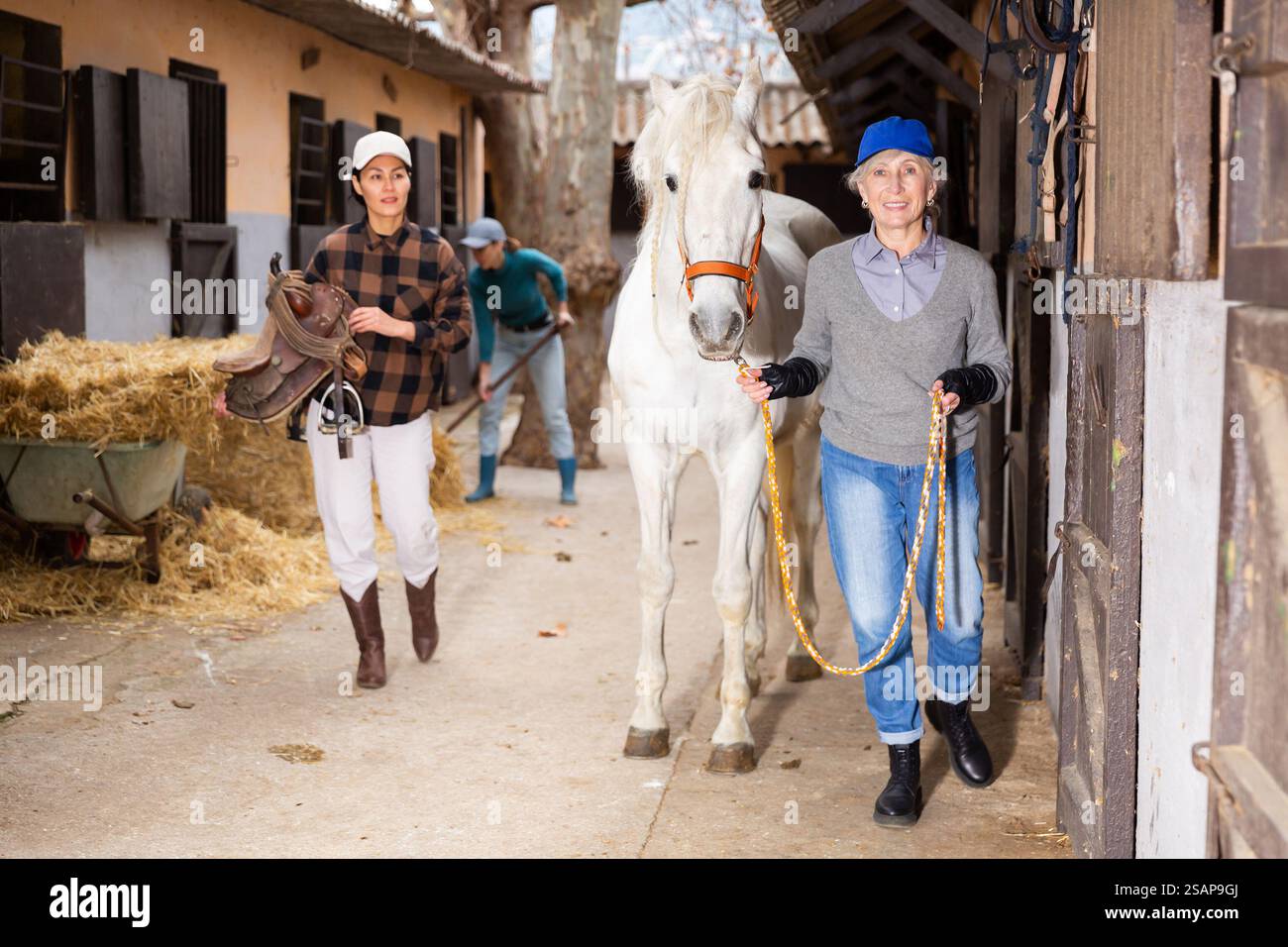 Older female stable keeper leading horse outdoors while Asian woman ...