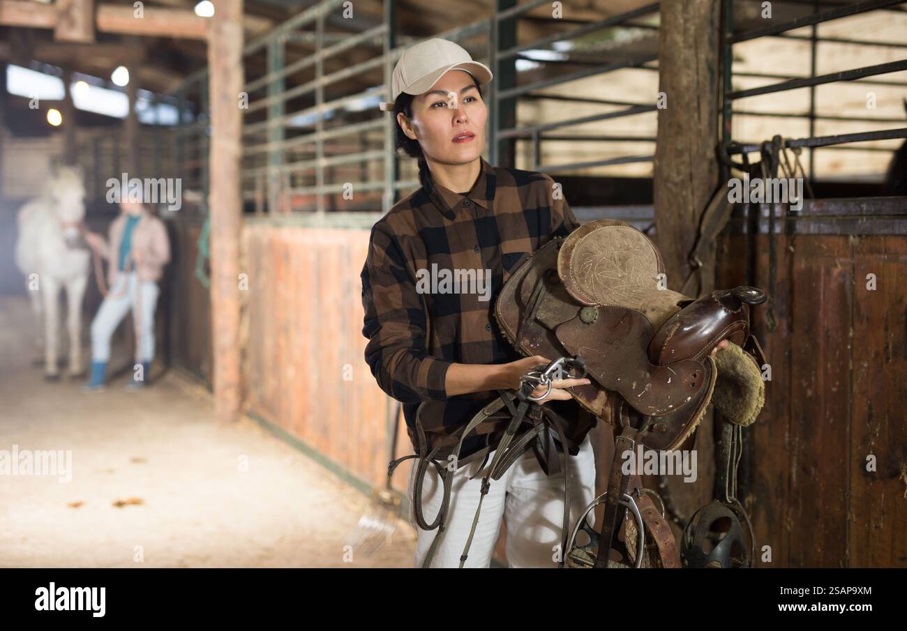 Asian female stable keeper carrying horse saddle and harness for riding ...