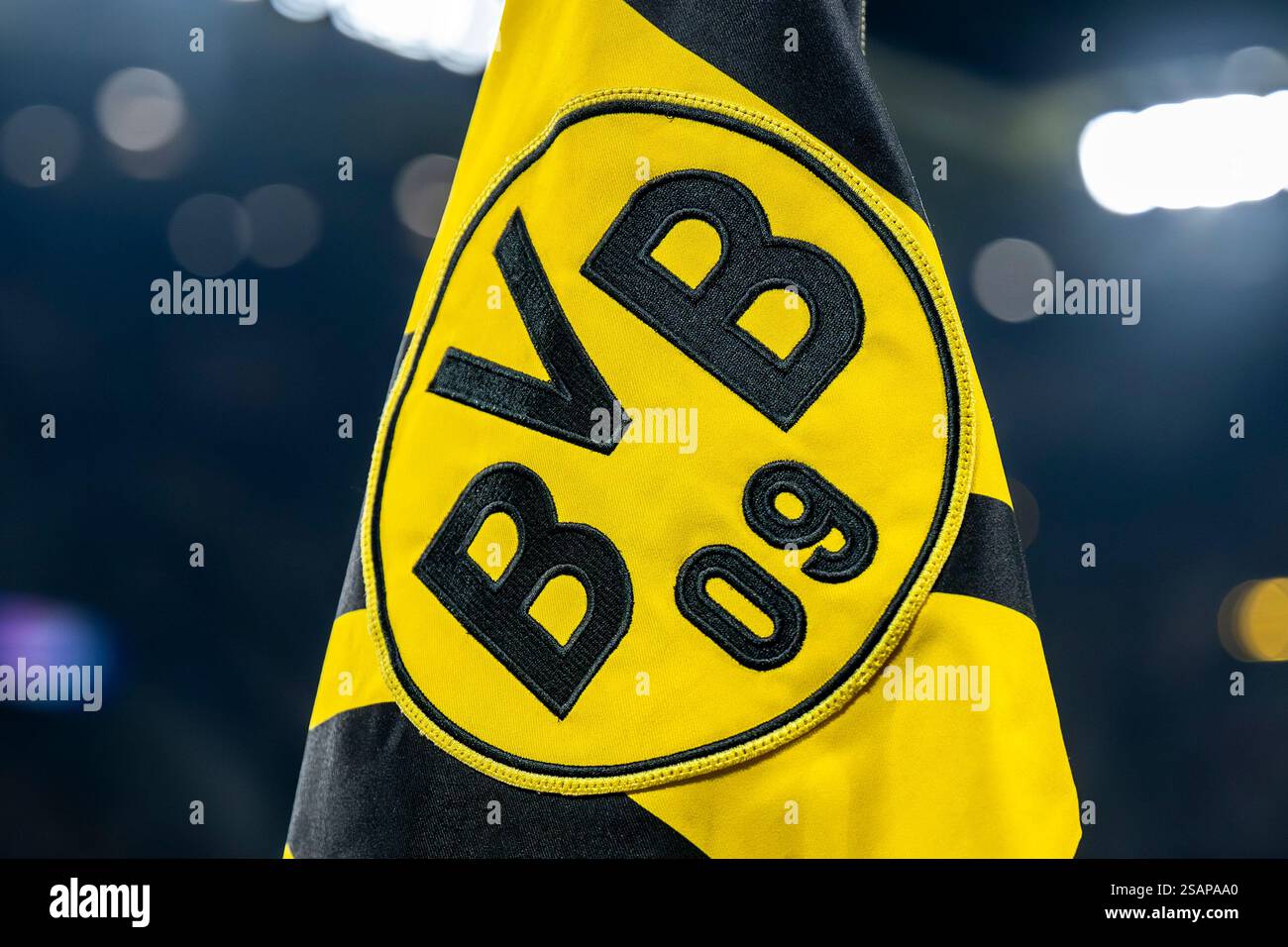 Dortmund, Deutschland. 29th Jan, 2025. 29.01.2025, Borussia Dortmund ...