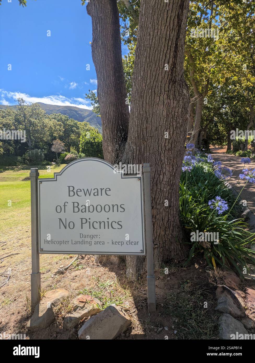 beware baboon sign at Groot Constantia Wine Estate Stock Photo - Alamy