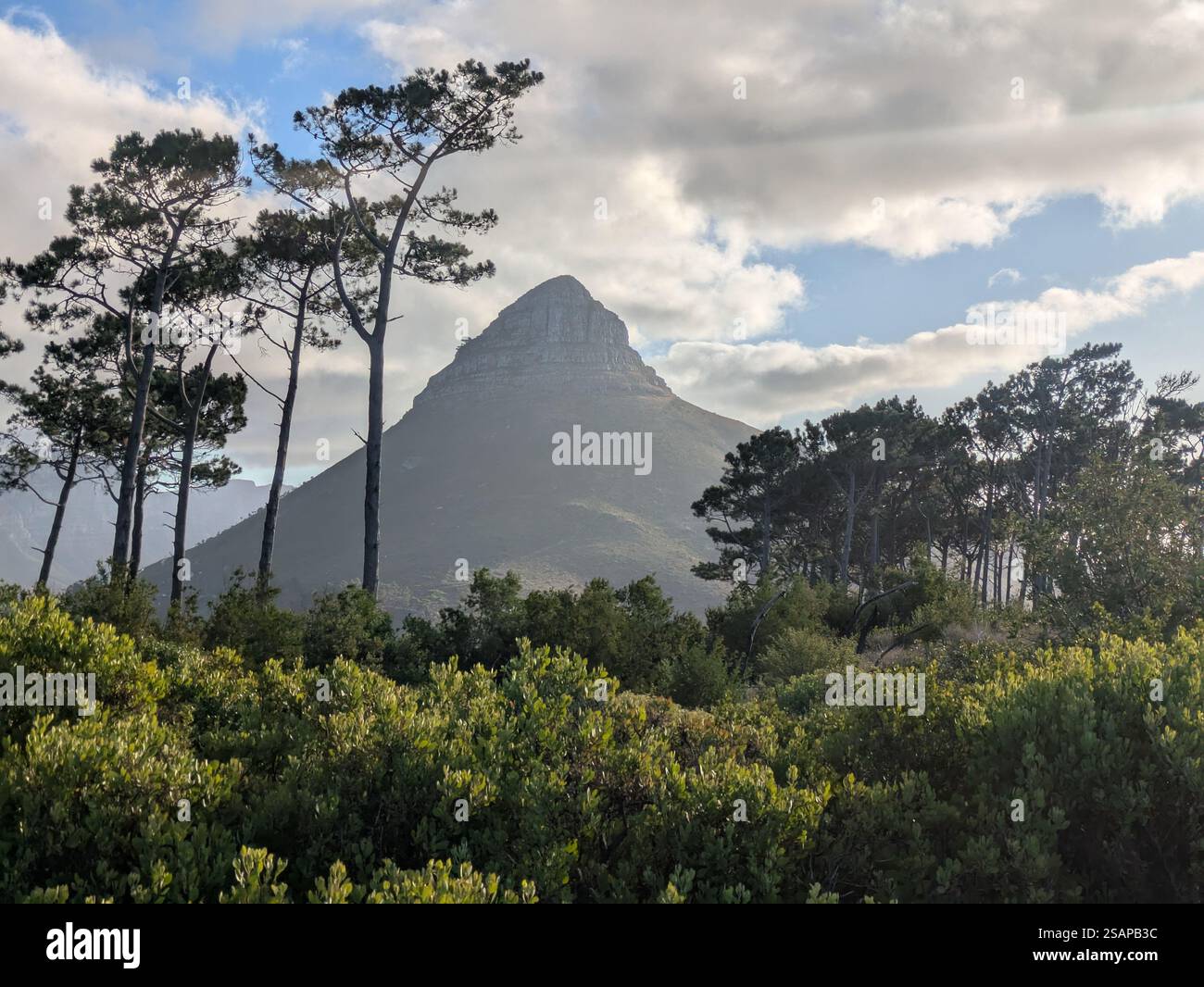 Sunset view of Lions Head Peak from Signal Hill Stock Photo - Alamy