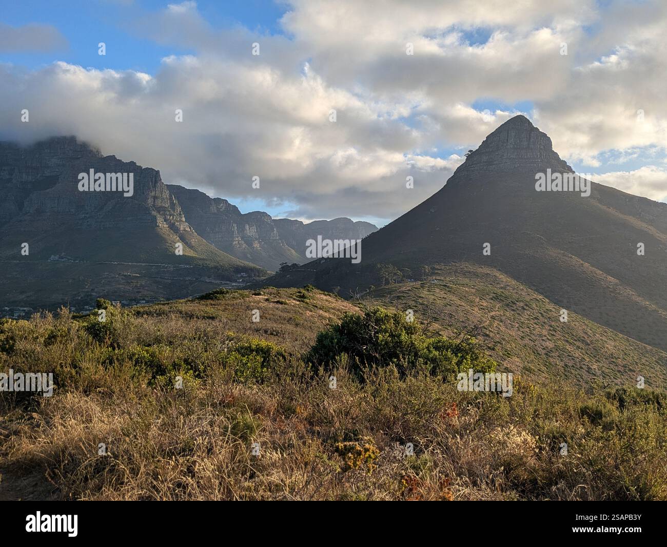 Lions head sunset hi-res stock photography and images - Alamy