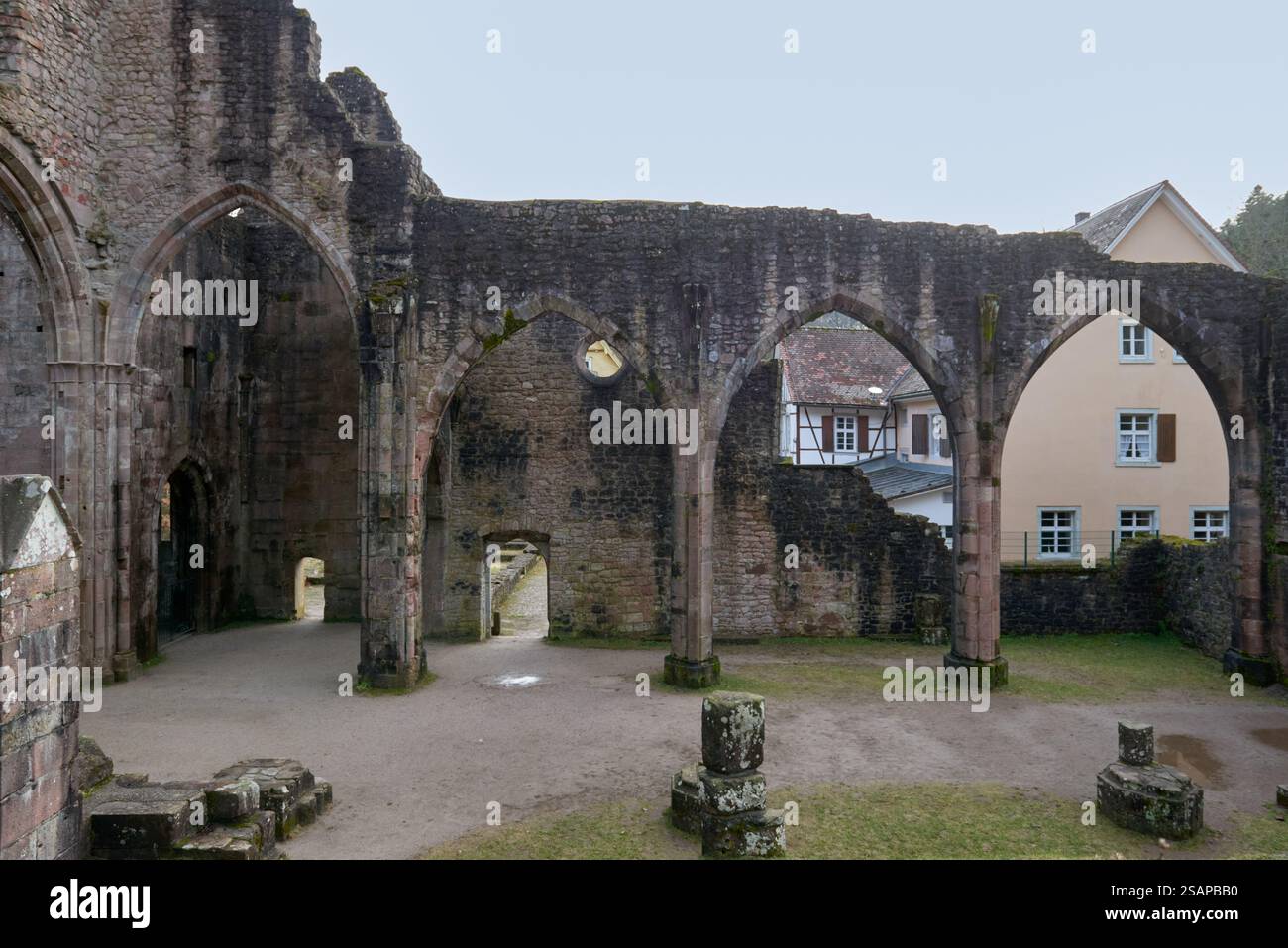 Ruins of medieval monastery in Black Forest, Germany – ancient gothic ...