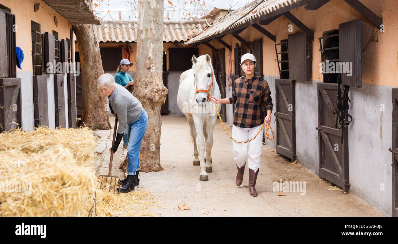 Aged female stable worker hi-res stock photography and images - Alamy