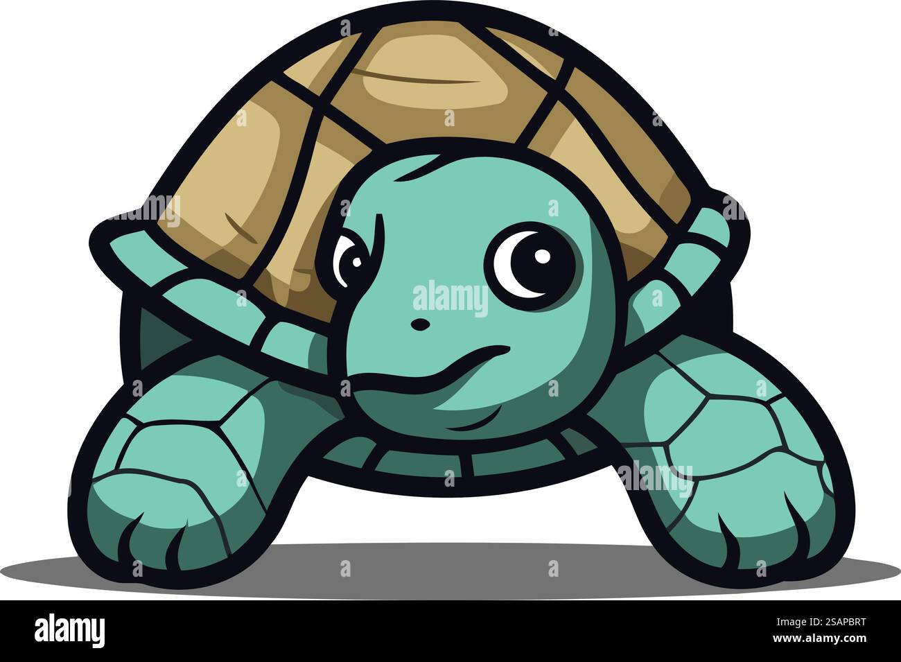 Cute turtle character cartoon isolated on white background. Vector ...