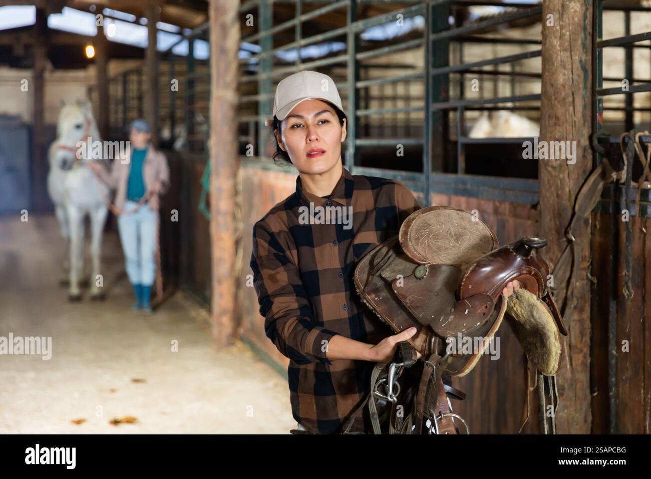 Positive woman carries harness for a horse in stable Stock Photo - Alamy