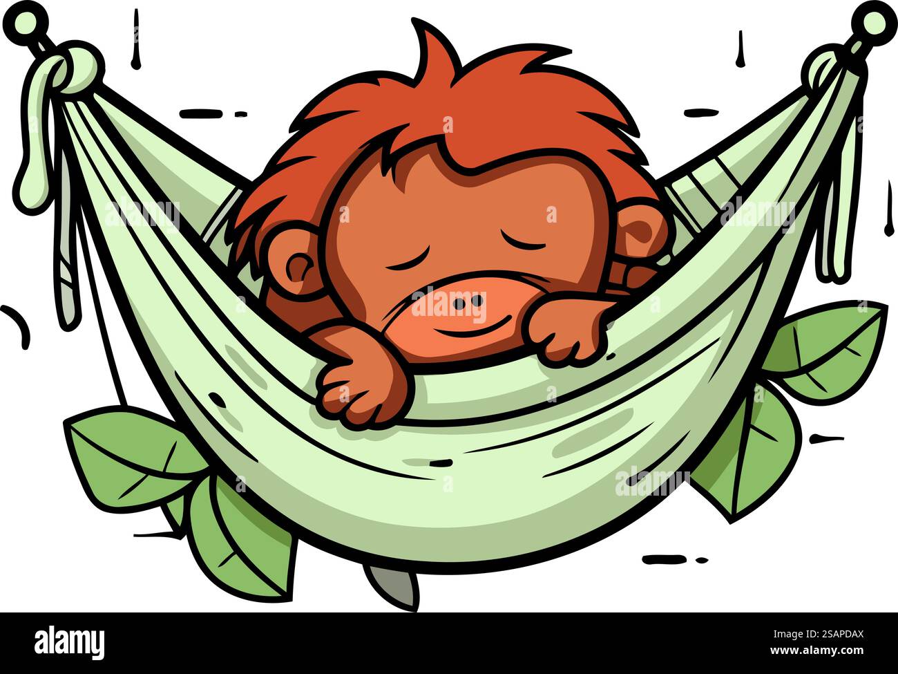 Cute cartoon monkey sleeping in a hammock. Vector illustration Stock ...