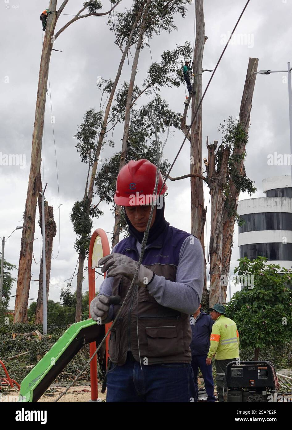 CUENCA ACCIDENT TREE ACCIDENT LA PAZ PARK Cuenca, Ecuador January 30 ...