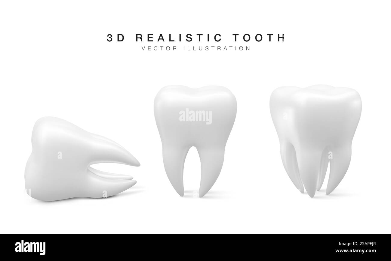 Set of white tooth in different position isolated on white background ...