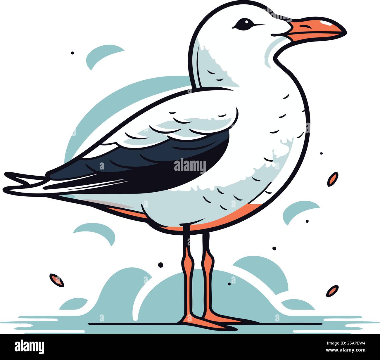 Seagull. Vector illustration of a seagull on white background Stock ...
