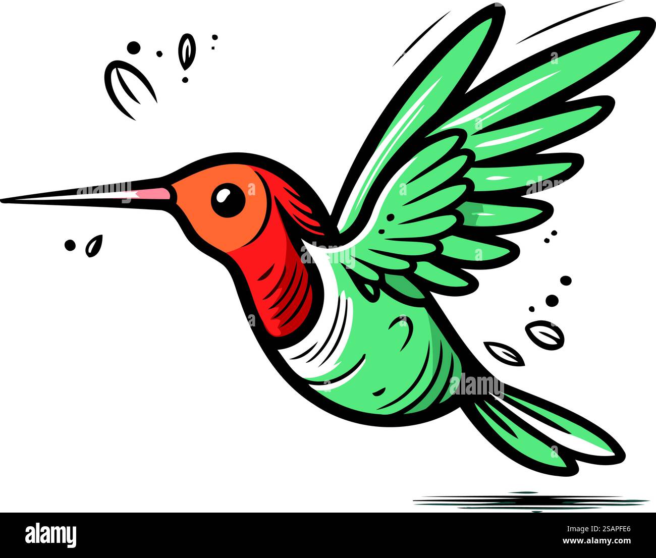 Hummingbird cartoon vector illustration isolated on white background ...