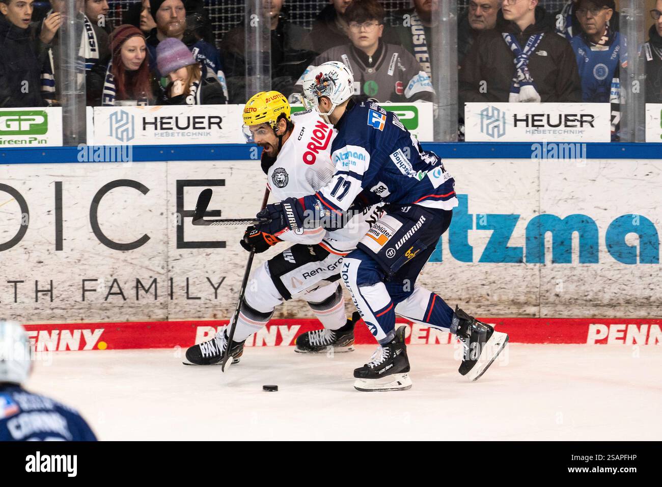 30.01.2025, Balver Zinn Arena, Iserlohn, GER, Penny DEL - Iserlohn ...