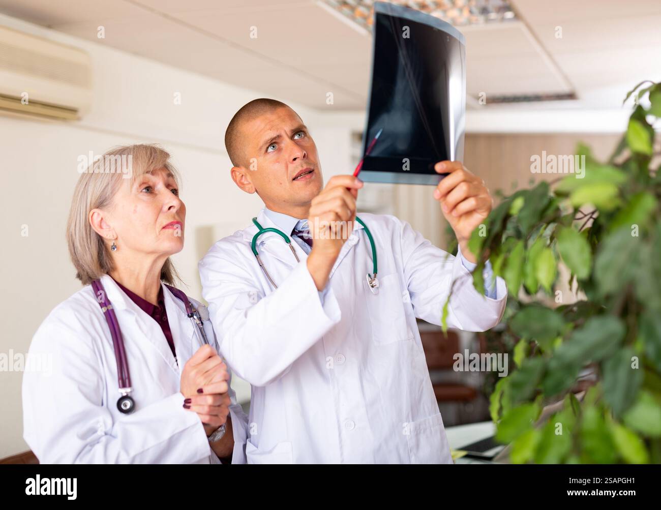 Two doctors analyzing roentgenogram Stock Photo - Alamy