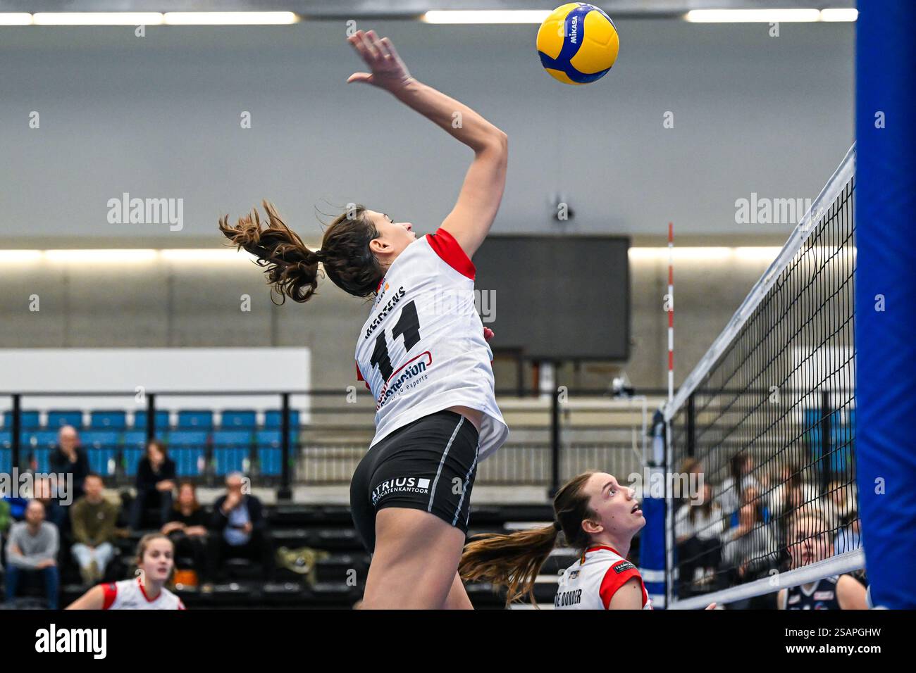 Helene Mertens (11) of Brabo Antwerp pictured during a volleyball game ...