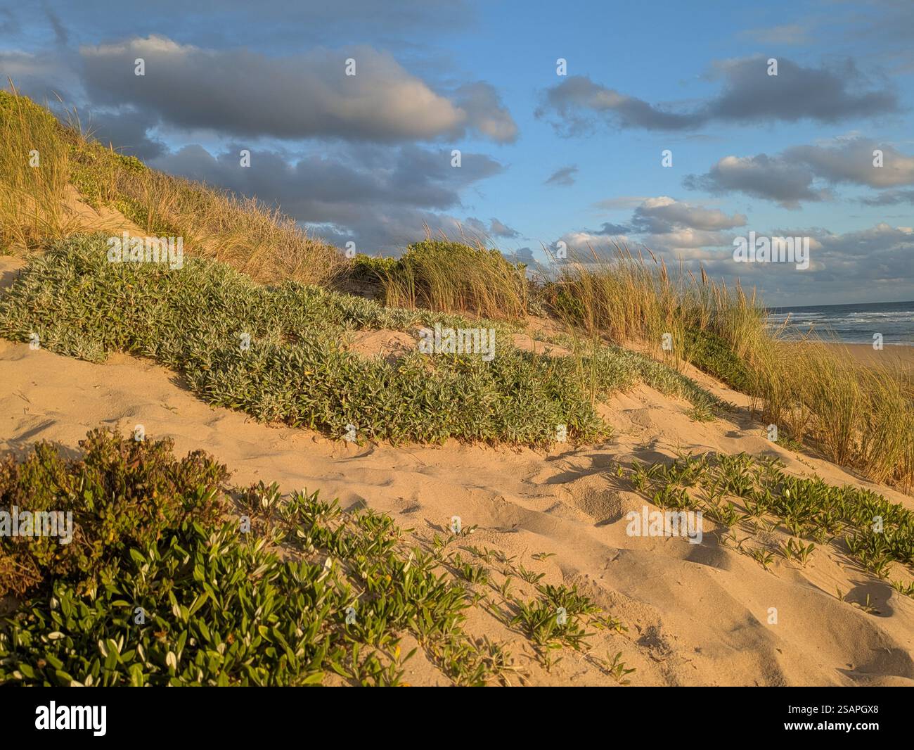 sunset at Myoli Beach South Africa Stock Photo - Alamy