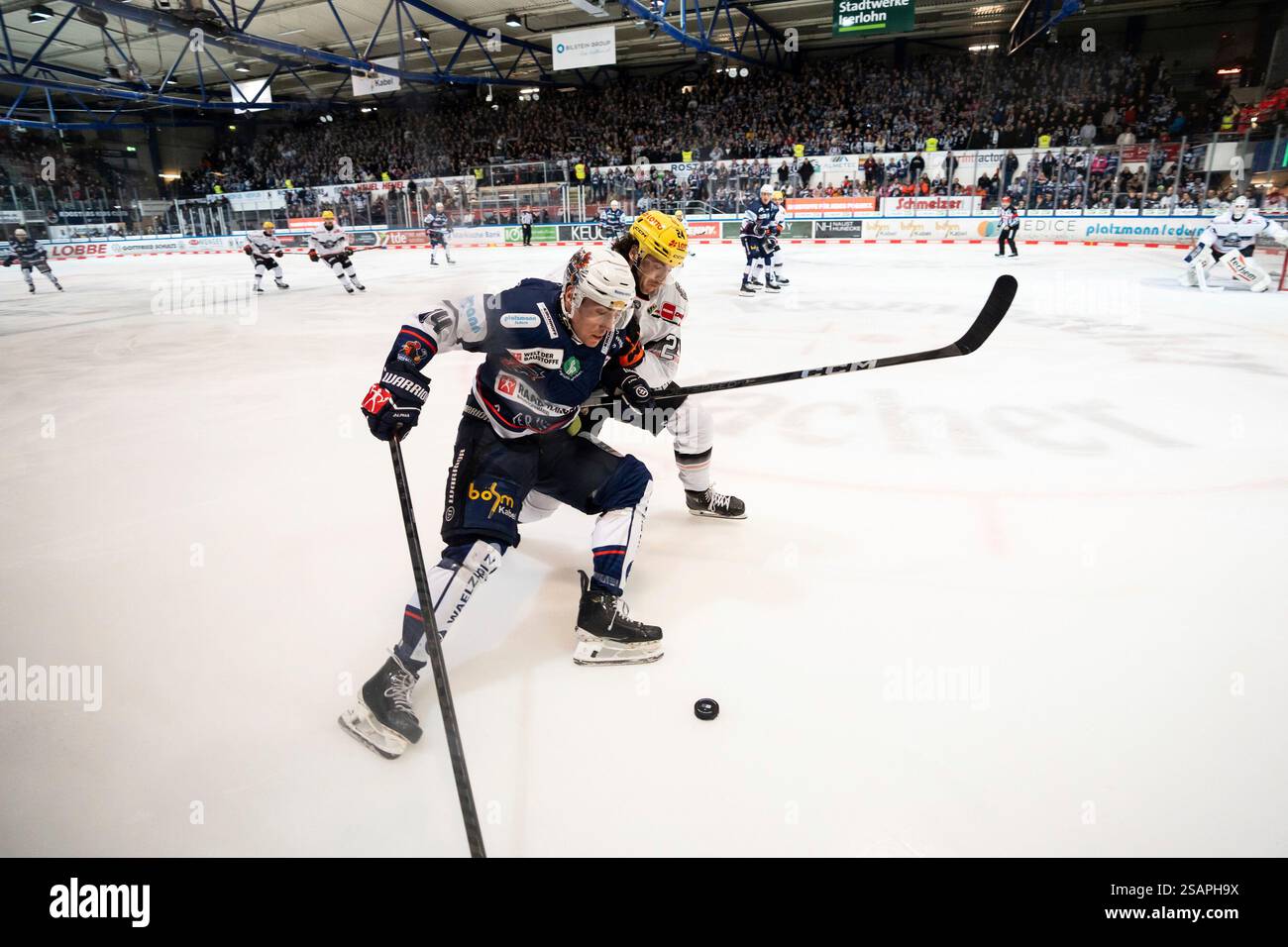 30.01.2025, Balver Zinn Arena, Iserlohn, GER, Penny DEL - Iserlohn ...