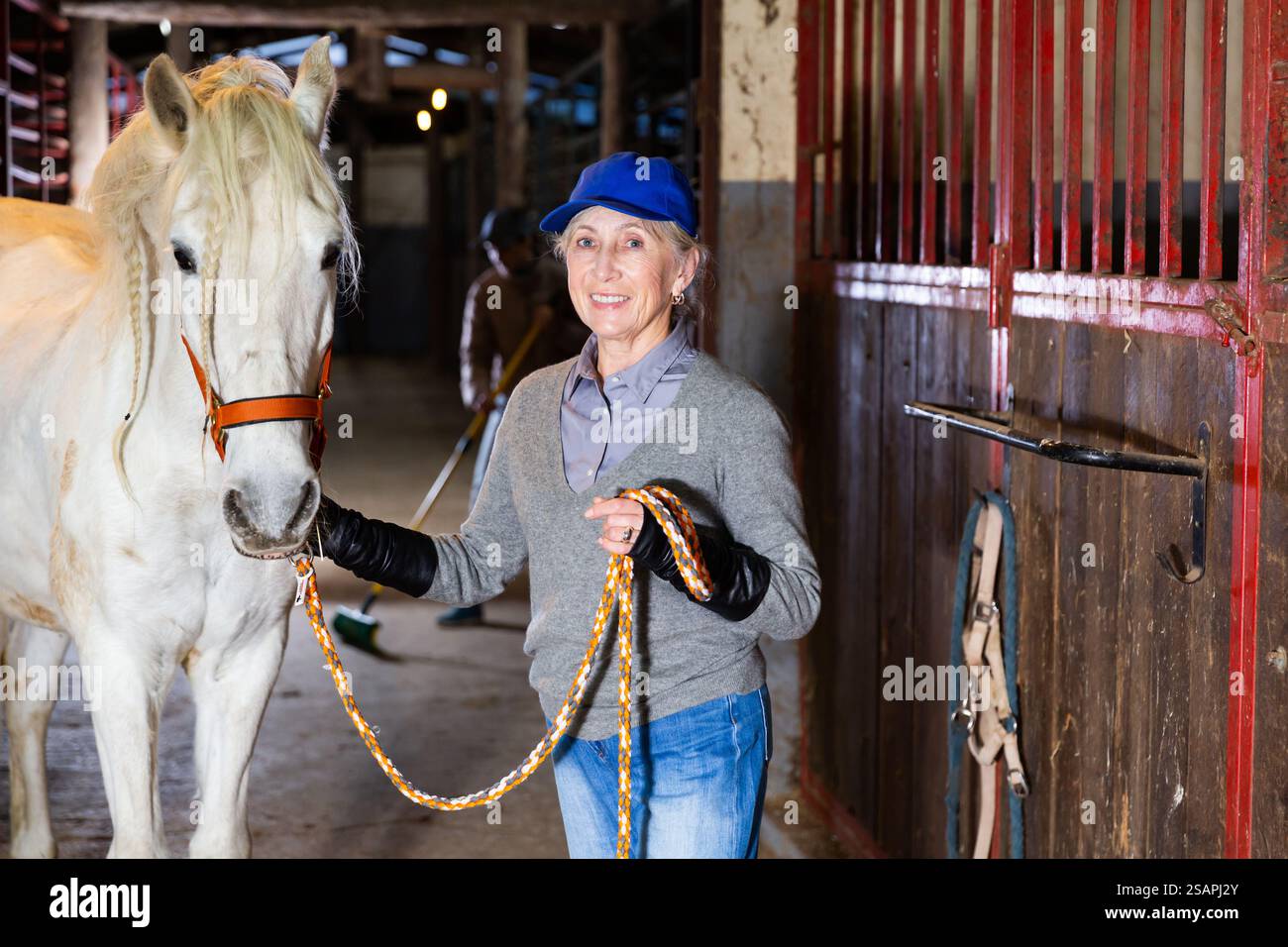 Aged female stable worker leading white horse by bridle in barn Stock ...