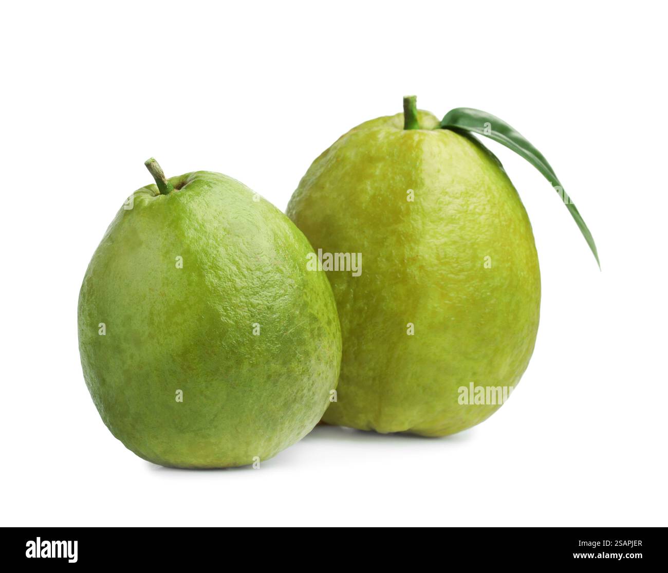 Two fresh guava fruits isolated on white Stock Photo - Alamy