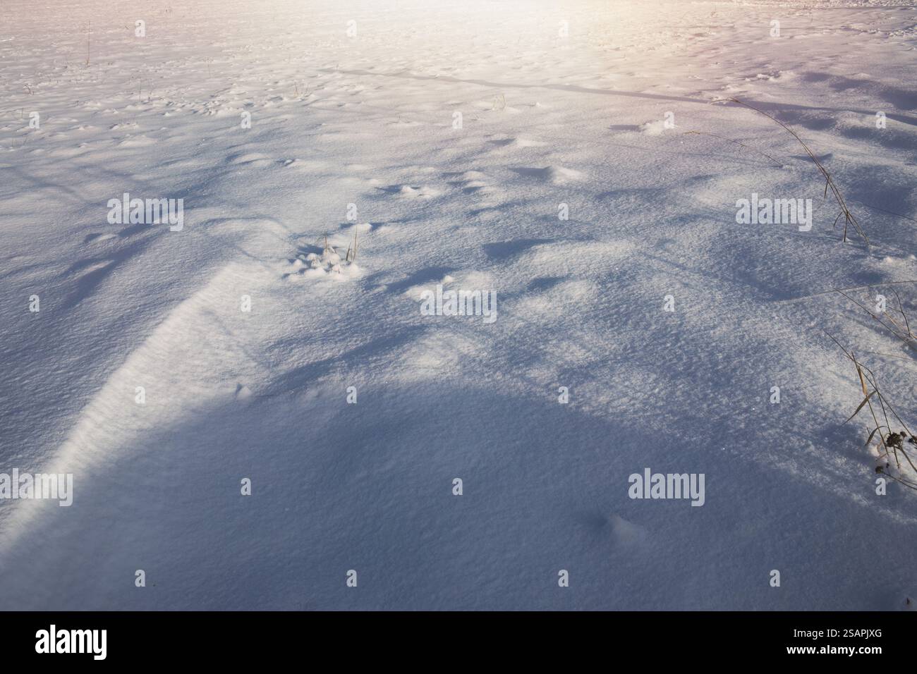 Surface of pure white snow with bumps. High quality photo Stock Photo ...