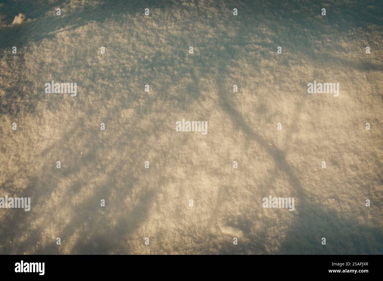 Surface of pure white snow with bumps. High quality photo Stock Photo ...