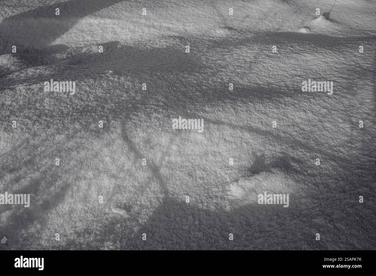 Surface of pure white snow with bumps. High quality photo Stock Photo ...